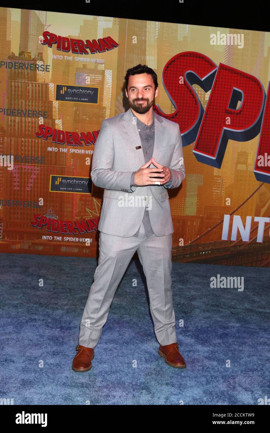 LOS ANGELES - DEC 1: Jake Johnson at the Spider-Man: Into the Spider ...