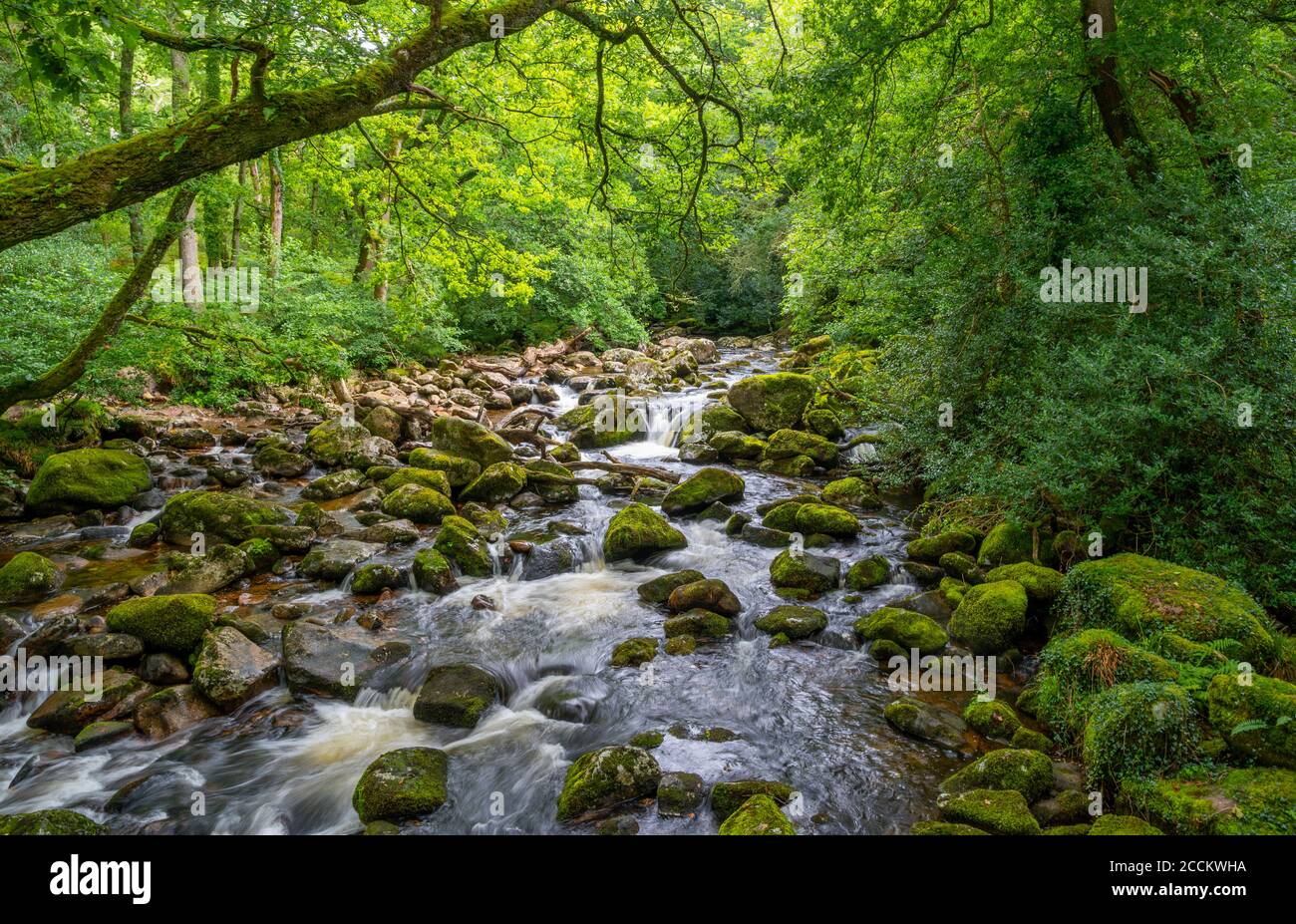 The River Plym on dartmoor flowing past Dewerstone on towards Plymouth ...