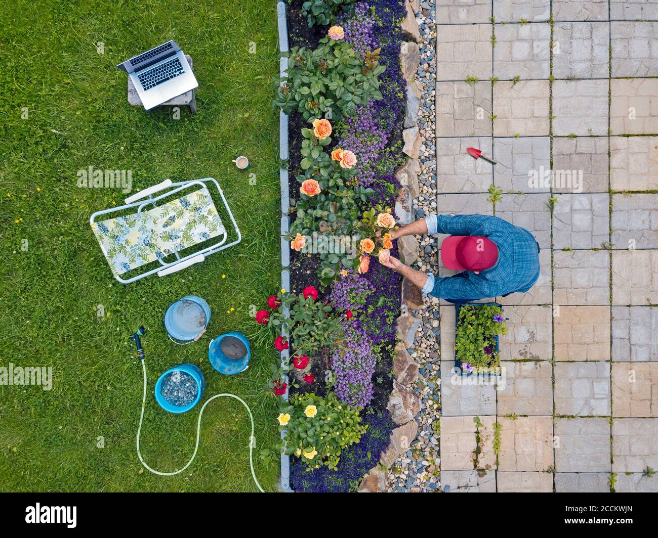 Aerial view of man in garden Stock Photo - Alamy