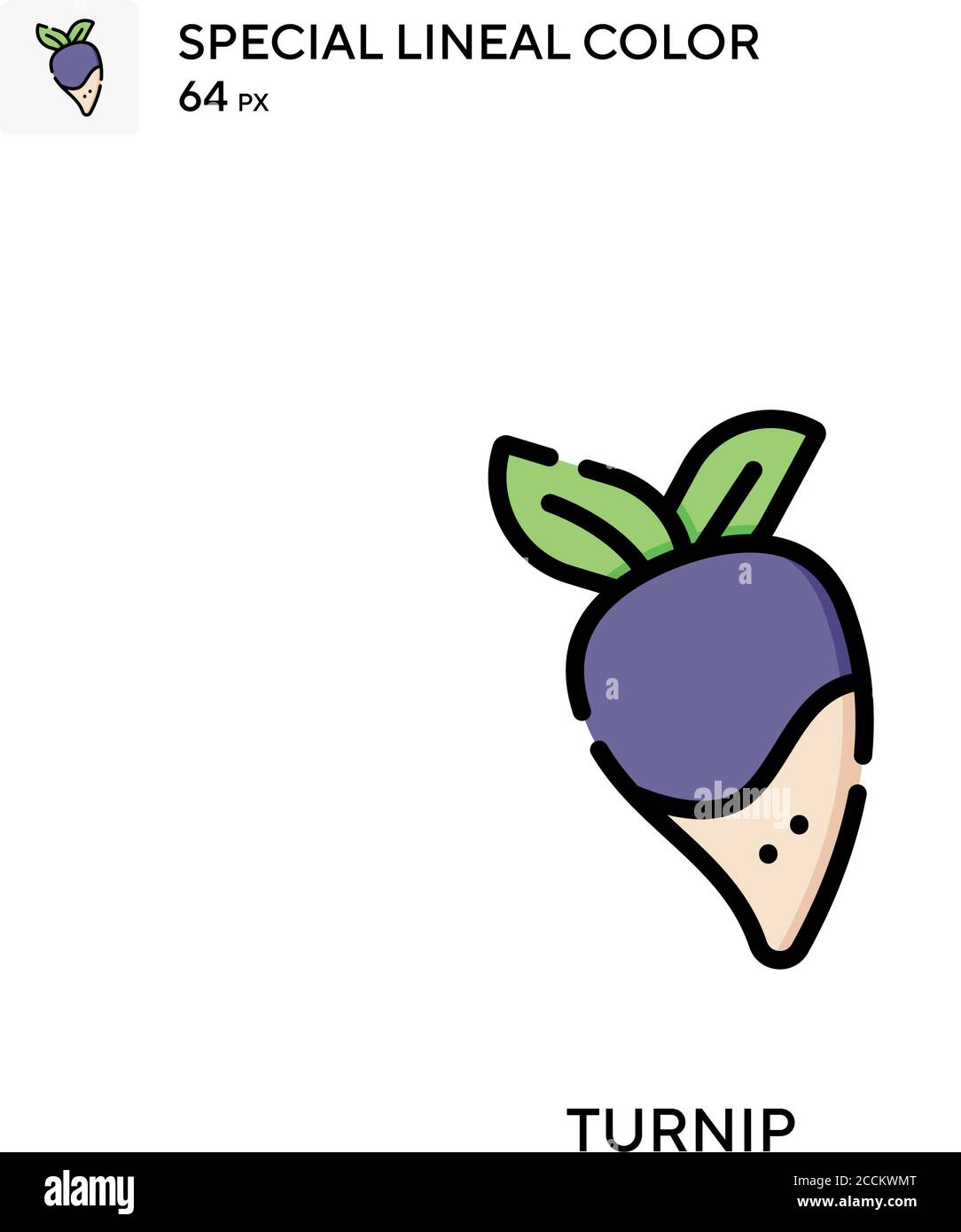 Raw turnips Stock Vector Images - Alamy