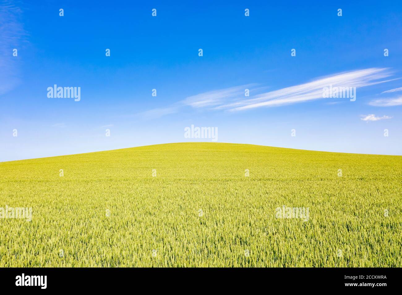 Vast grass field hi-res stock photography and images - Alamy