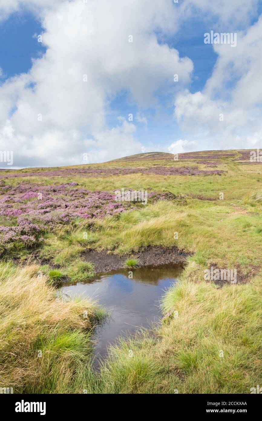 Hedgehope Hill walk from Breamish Valley, Northumberland National Park ...