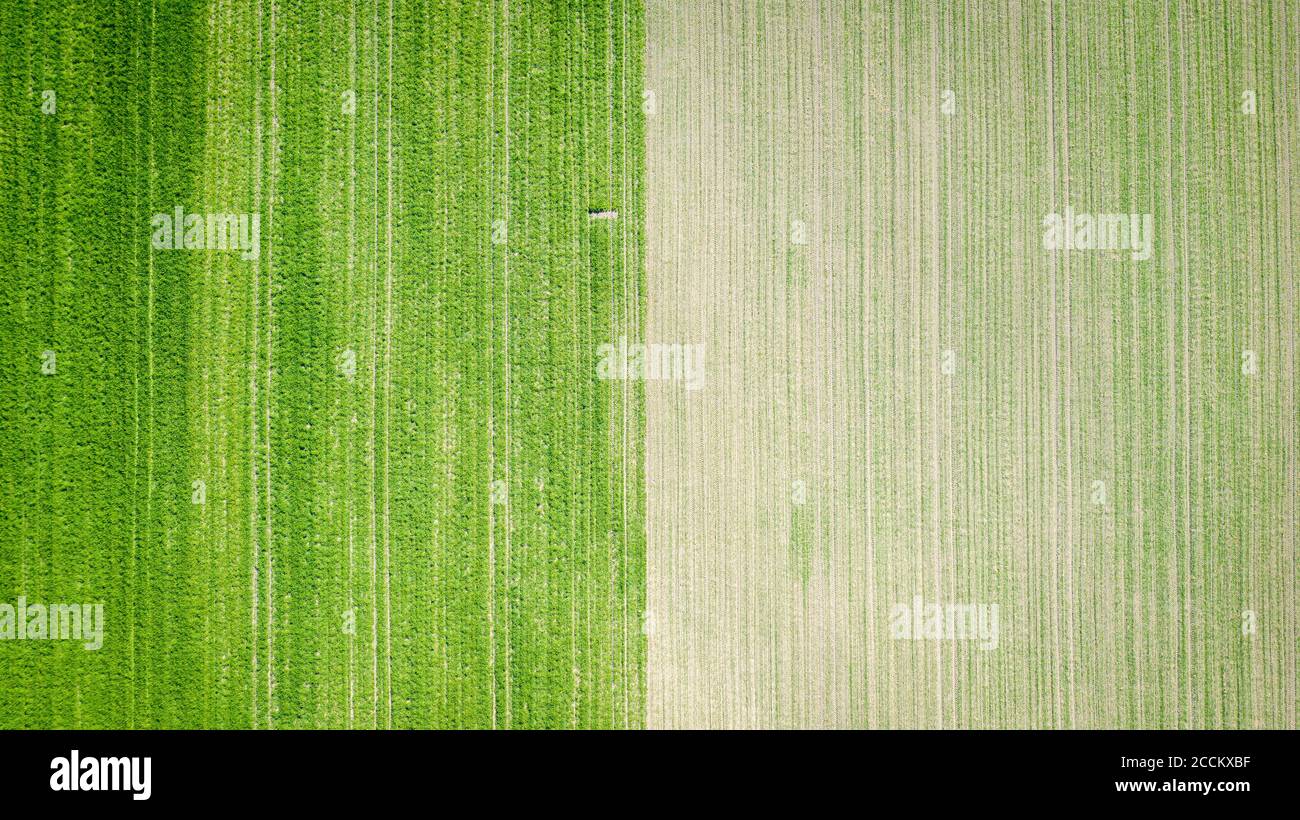 Minimal field hi-res stock photography and images - Alamy