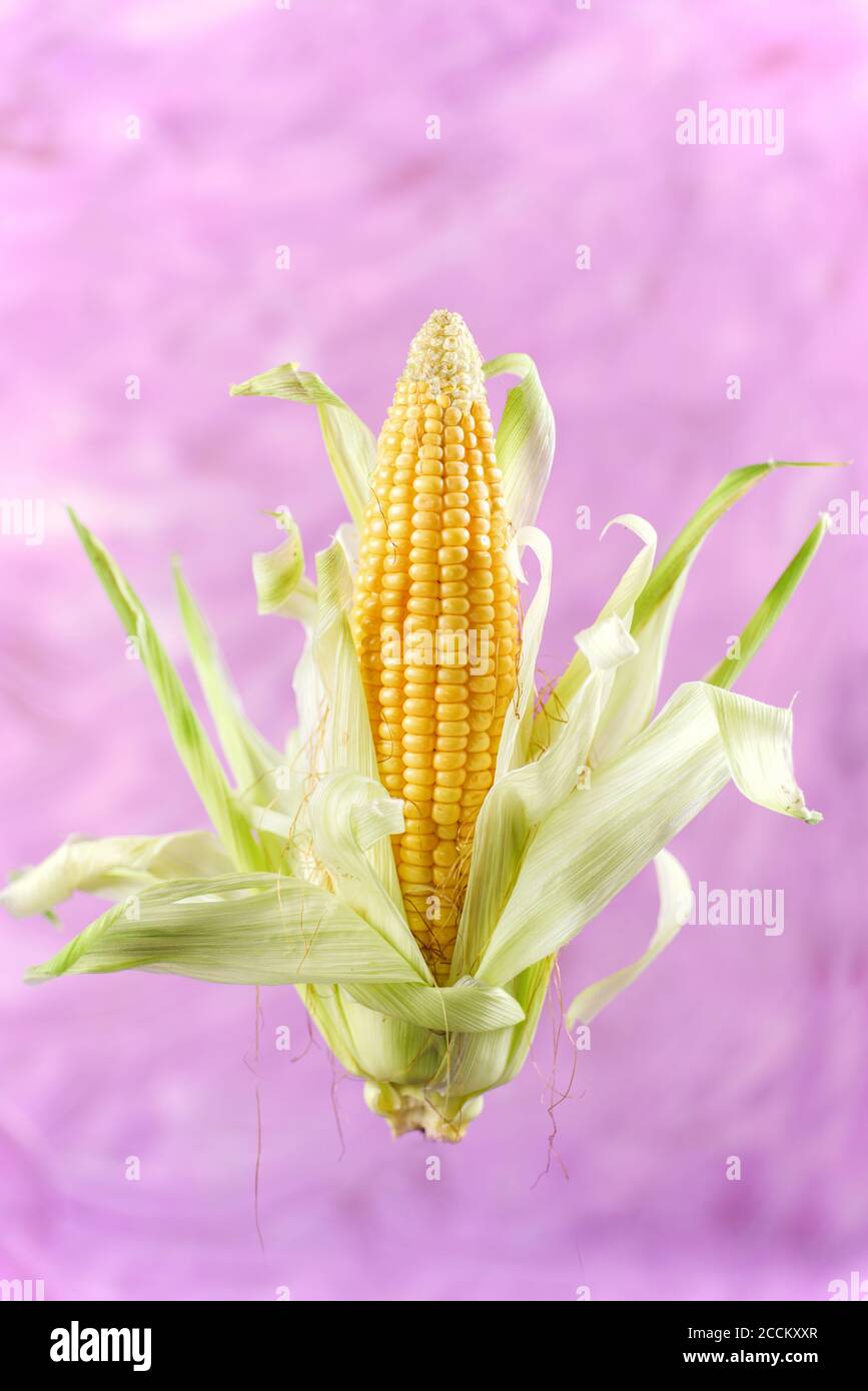 Floating snack hi-res stock photography and images - Alamy