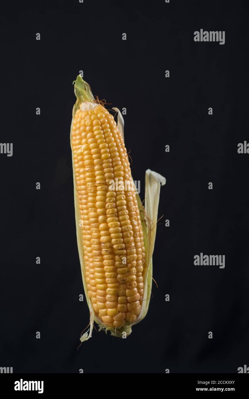 Floating plant farm hi-res stock photography and images - Alamy