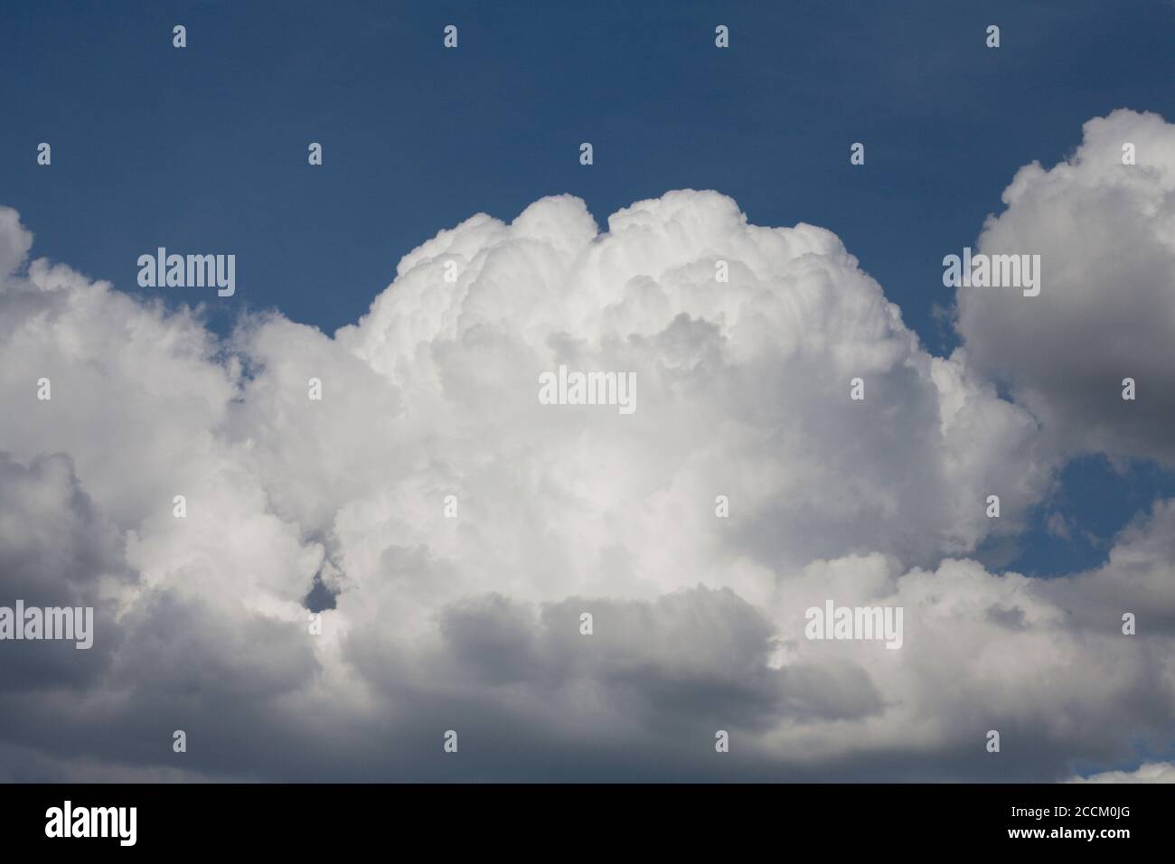 Cumulus cloud passing across Cheshire on a spring afternoon England ...