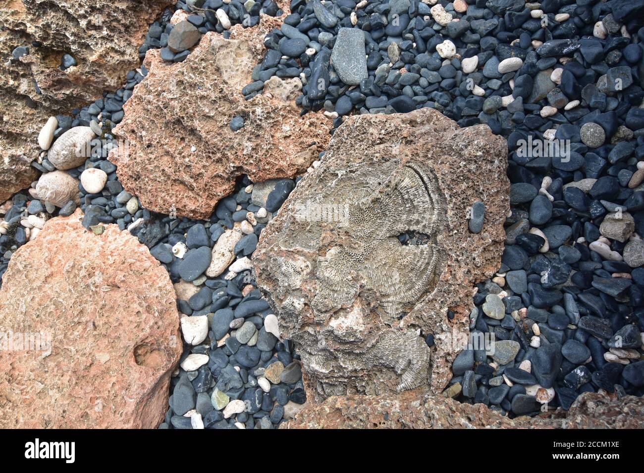 Aruba geology hi-res stock photography and images - Alamy