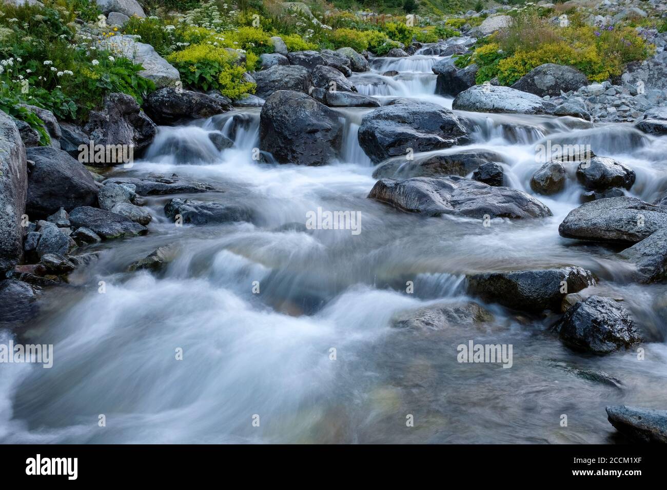 Summer stream and plants scenic hi-res stock photography and images - Alamy