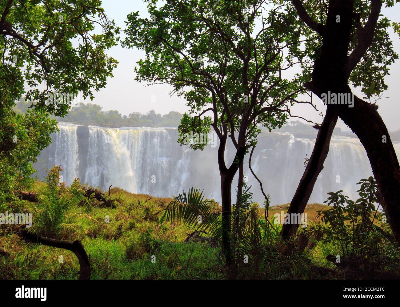 Victoria Falls (Mosi-o-tunya) surrounded by lush rain forest, taken ...