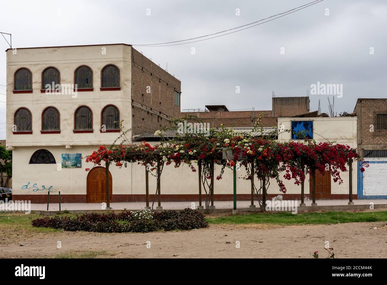 Flowering trellis in Lima, Peru neighborhood Stock Photo - Alamy
