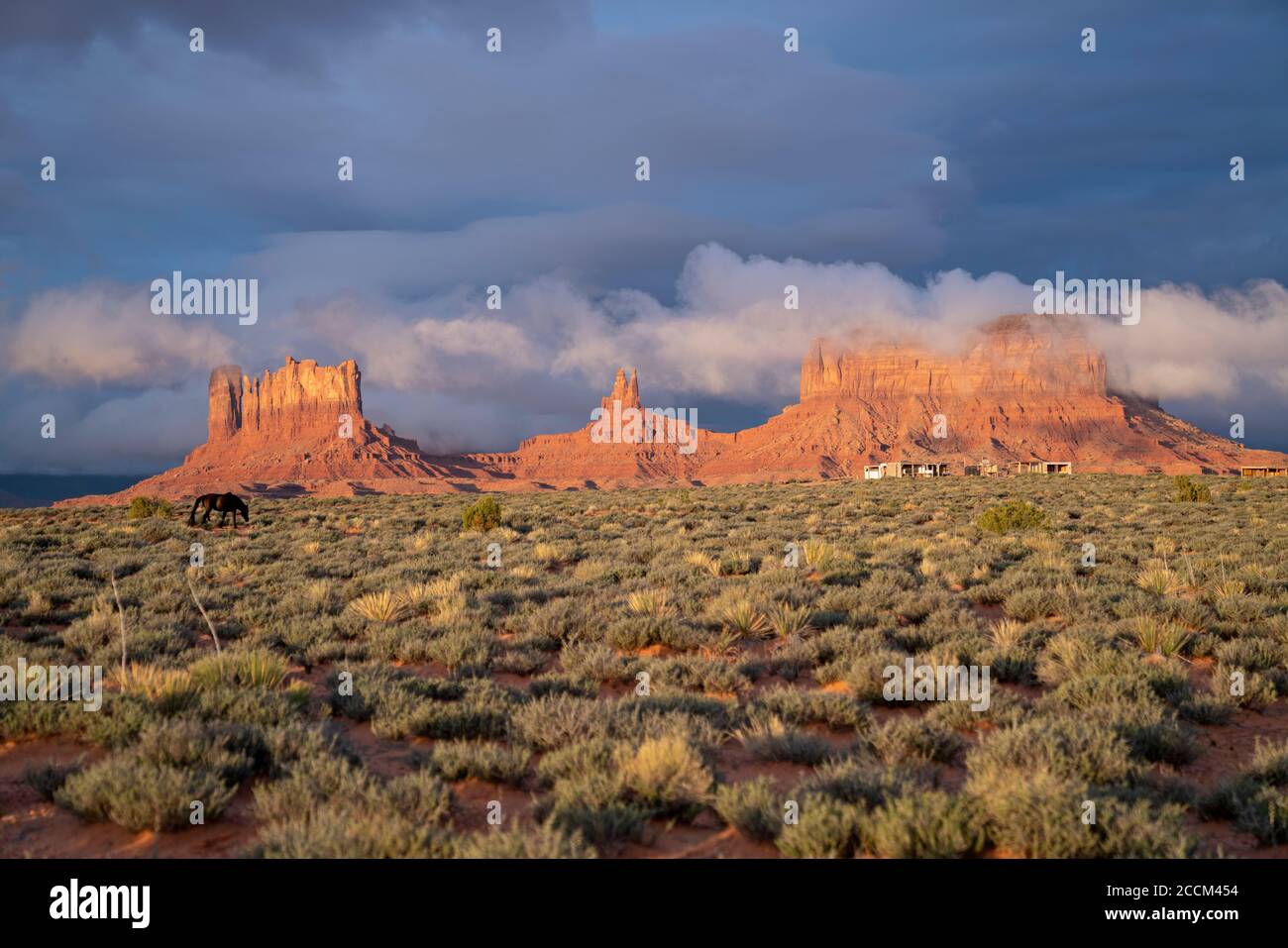 Monument Valley/Grand Canyon Stock Photo - Alamy