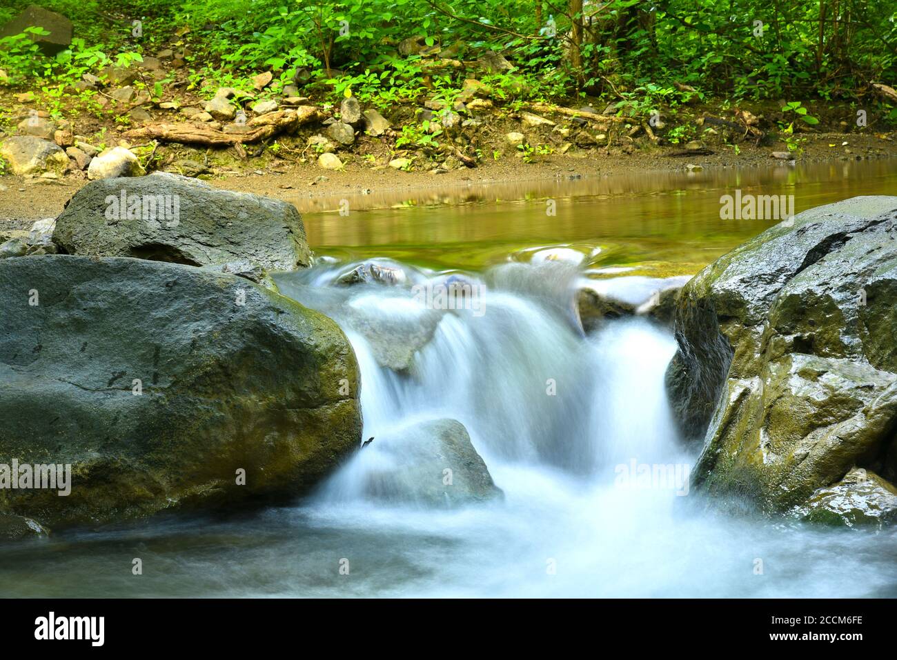 Beautiful forest landscape small waterfall useful background Stock ...