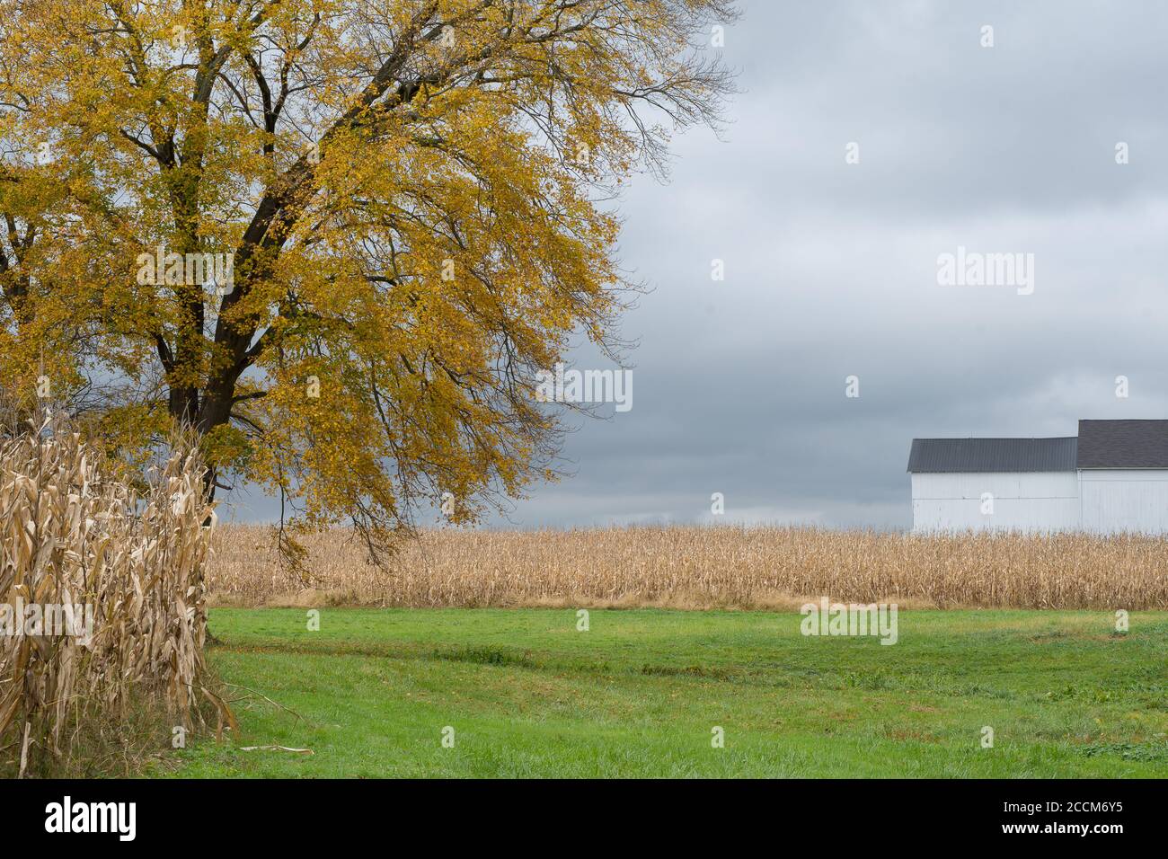 Bucks county farm hi-res stock photography and images - Alamy