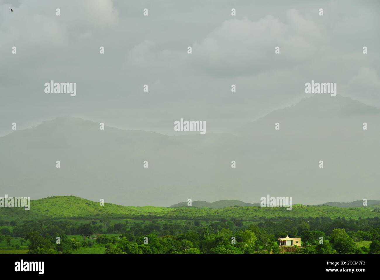 indian village side early morning foggy view. greenery concept ...