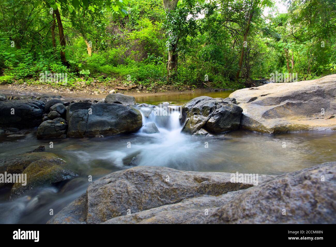 Beautiful forest landscape small waterfall useful background Stock ...