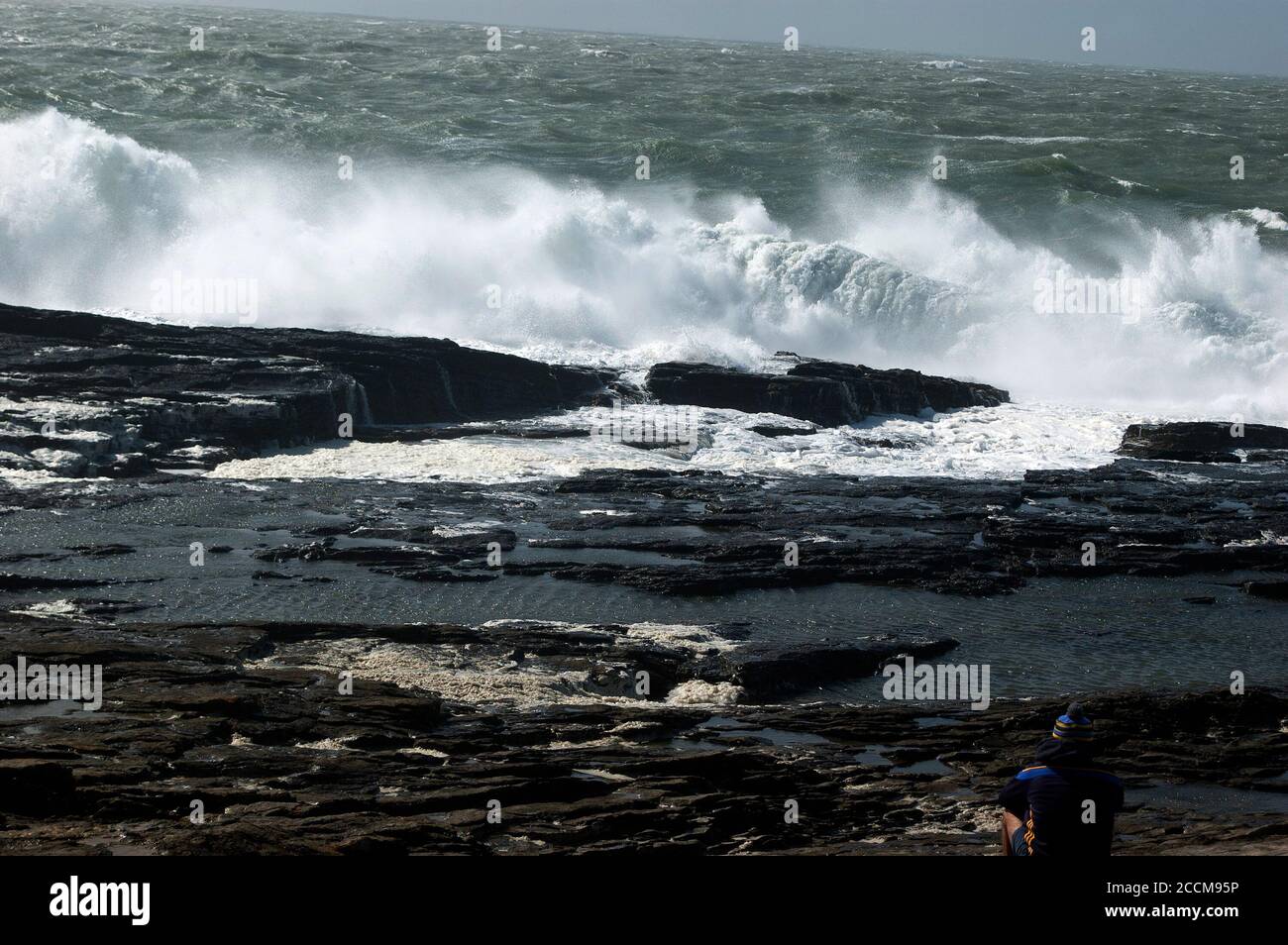 Photographer braves the winds to picture rough sea around Hook ...