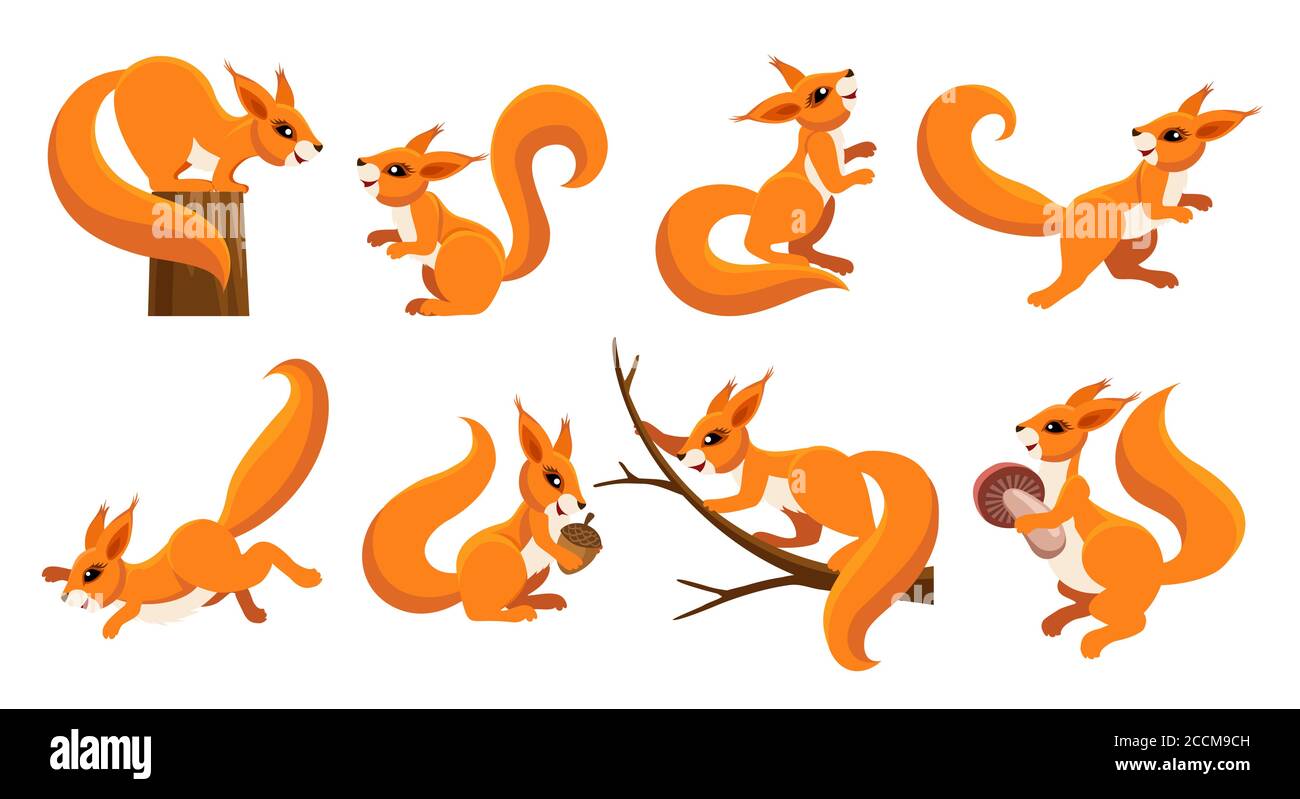 Funny squirrel set Stock Vector Image & Art - Alamy