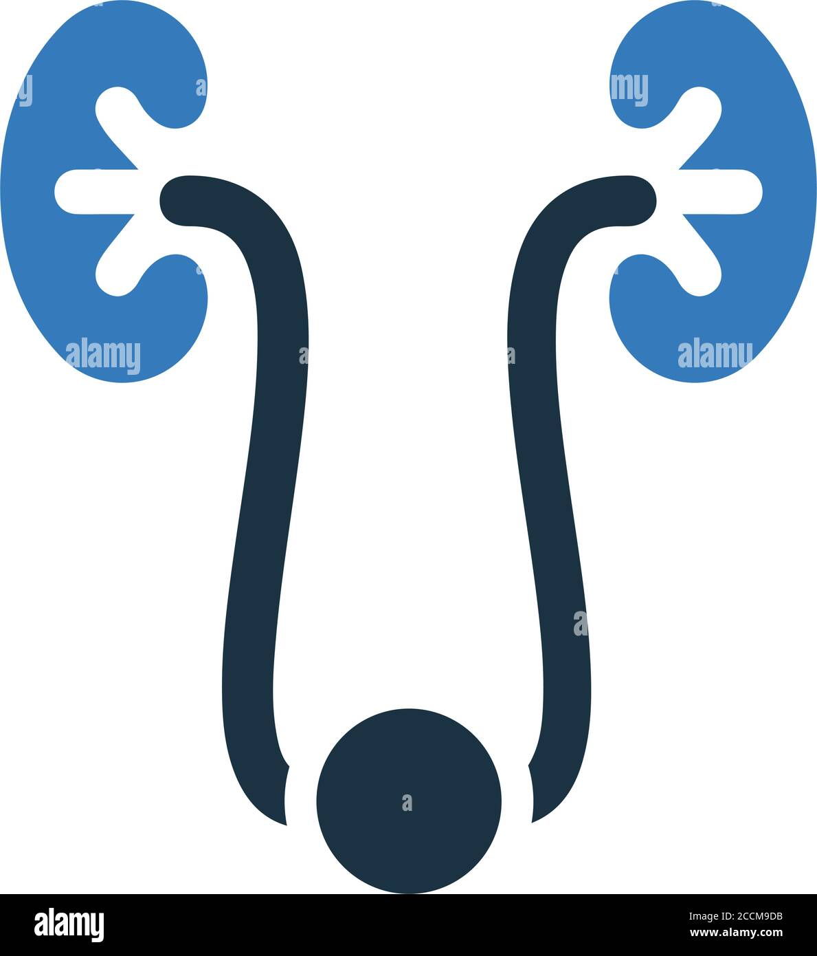 Human kidney icon - Perfect for use in designing and developing ...