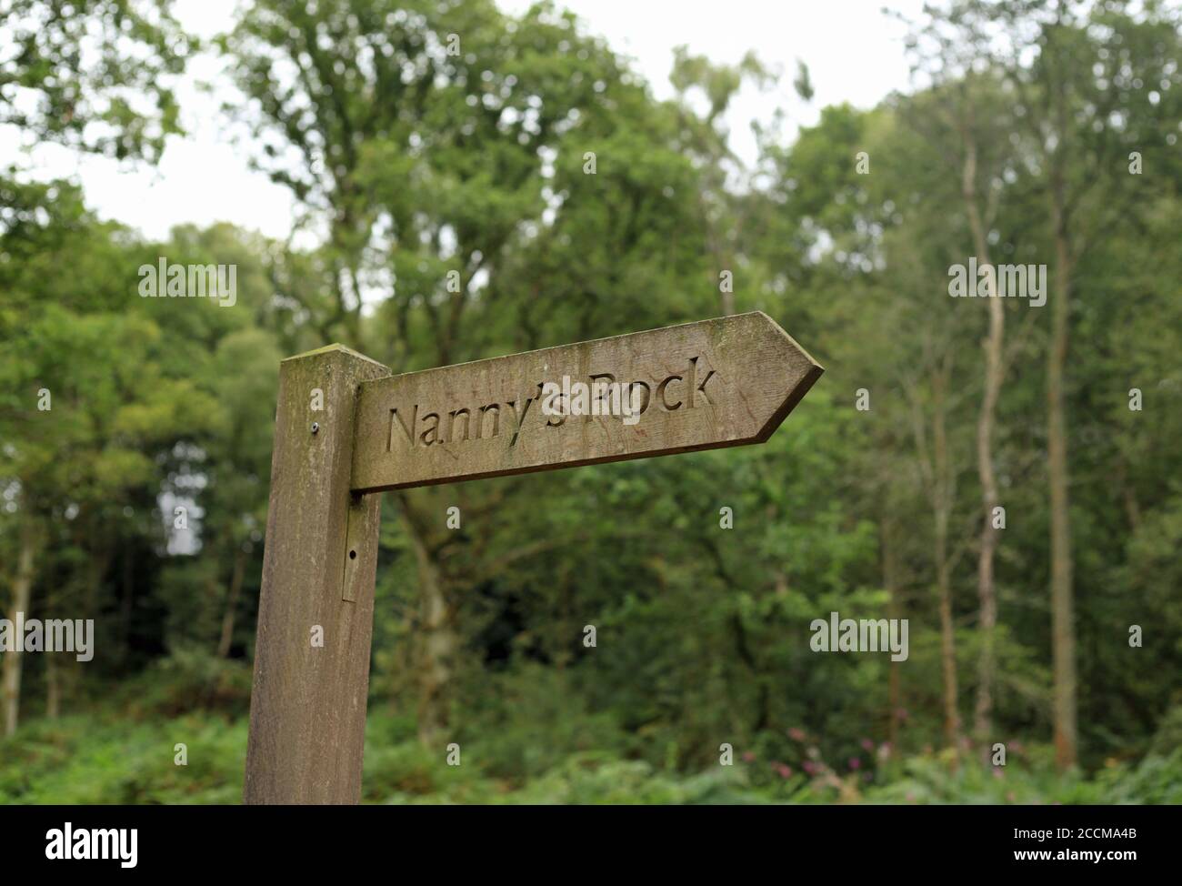 Signpost to Nanny's rock caves on Kinver edge, Staffordshire, England ...