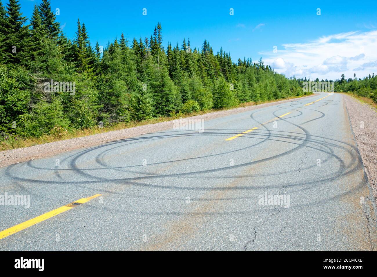 Traffic Accident Skid Marks