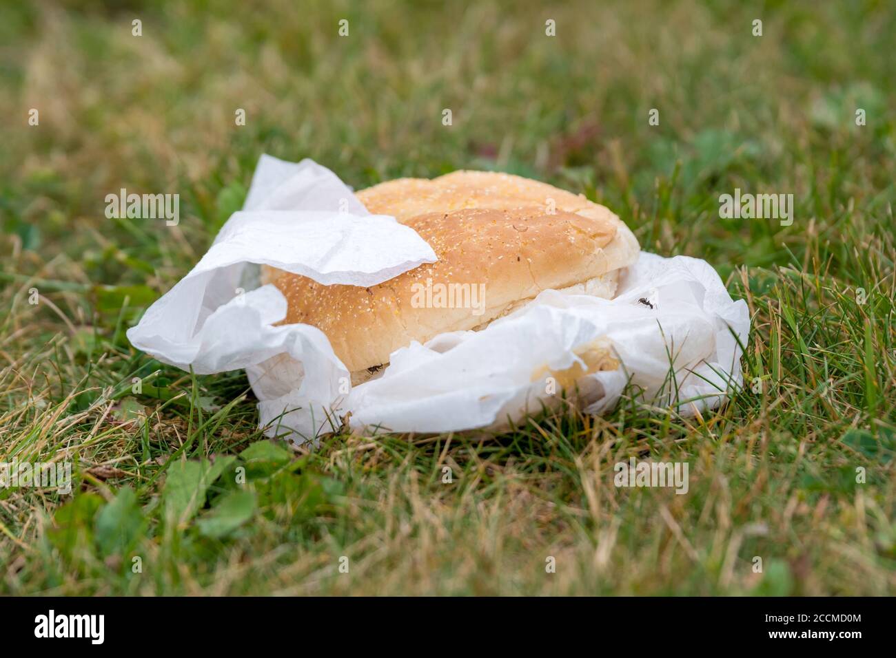 Fast food waste hi-res stock photography and images - Alamy