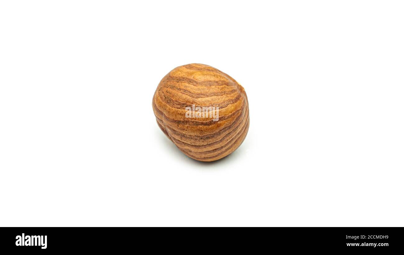 Textured, peeled hazelnut on a white background Stock Photo - Alamy