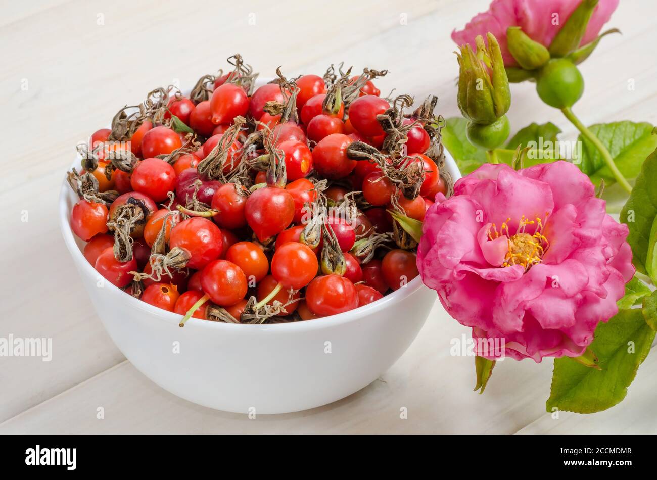 Ripe red rose hips hi-res stock photography and images - Alamy