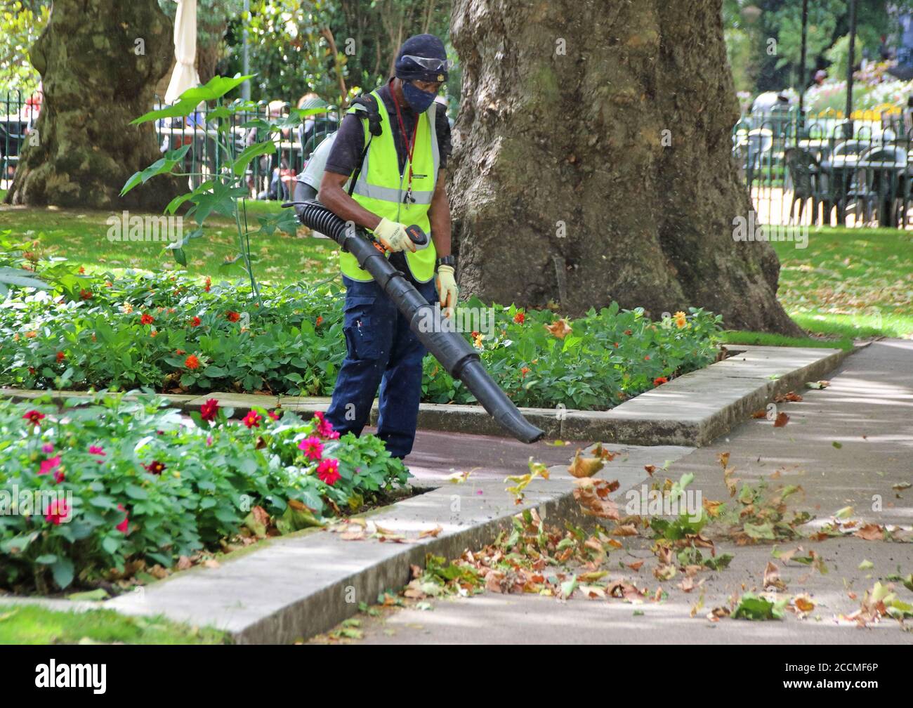 Man leaf blower face hi-res stock photography and images - Alamy