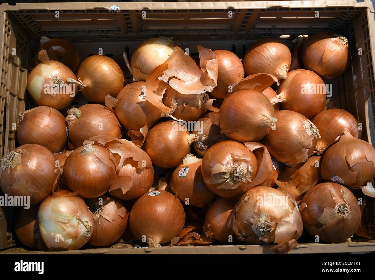 High angle shot of a bunch of onions in a brown box Stock Photo - Alamy