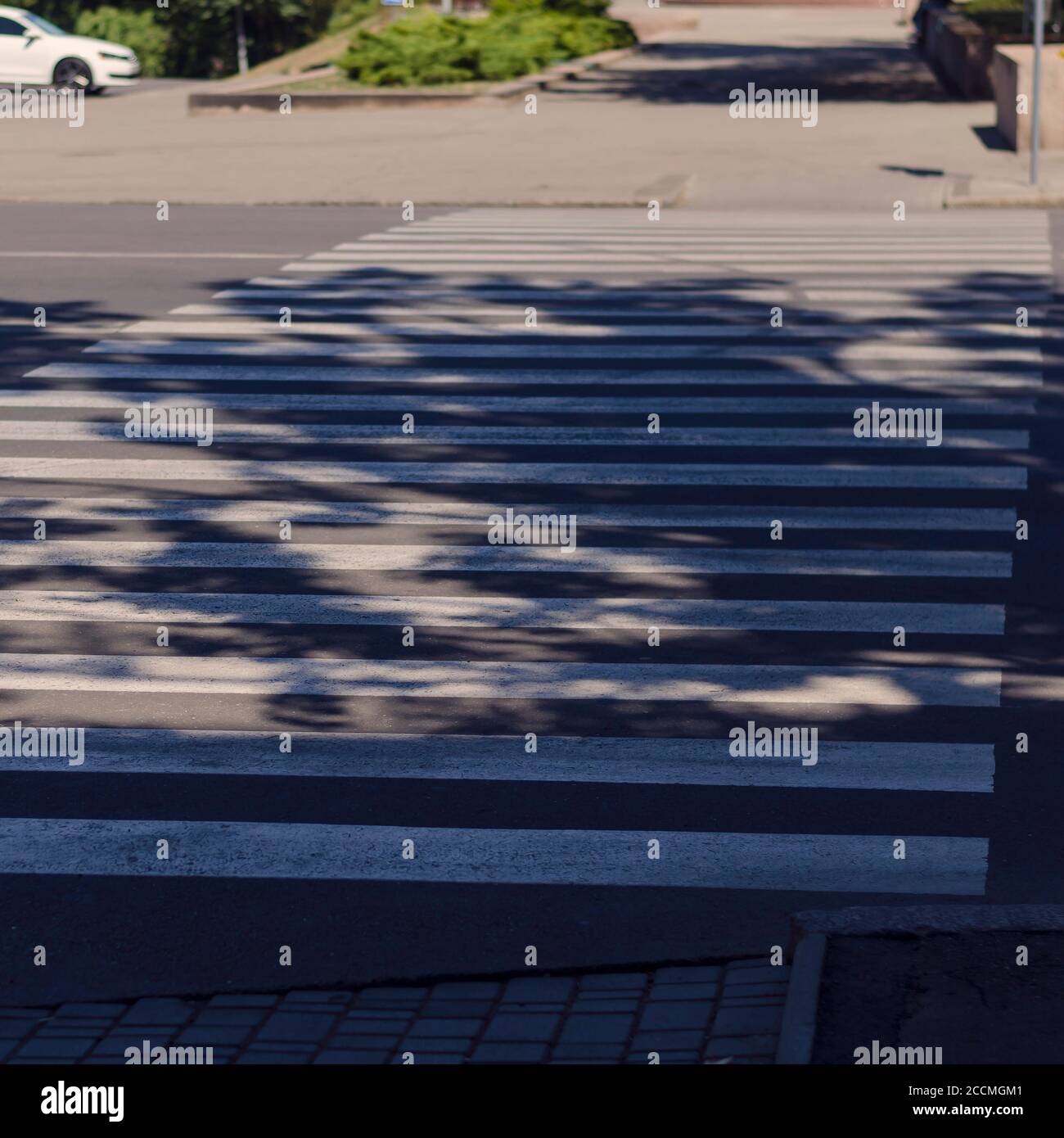 Empty pedestrian crossing in the summer city. Sunny streets without ...