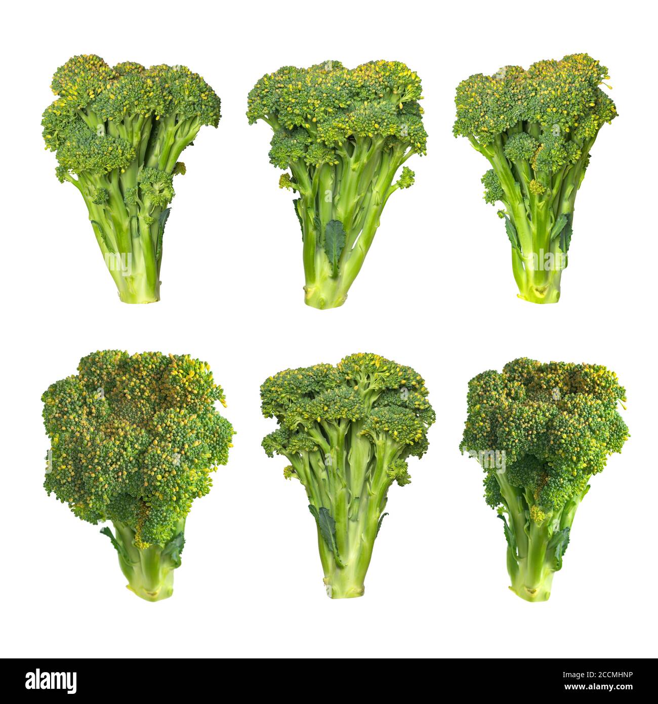 Big set of fresh broccoli with isolated on black background Stock Photo ...