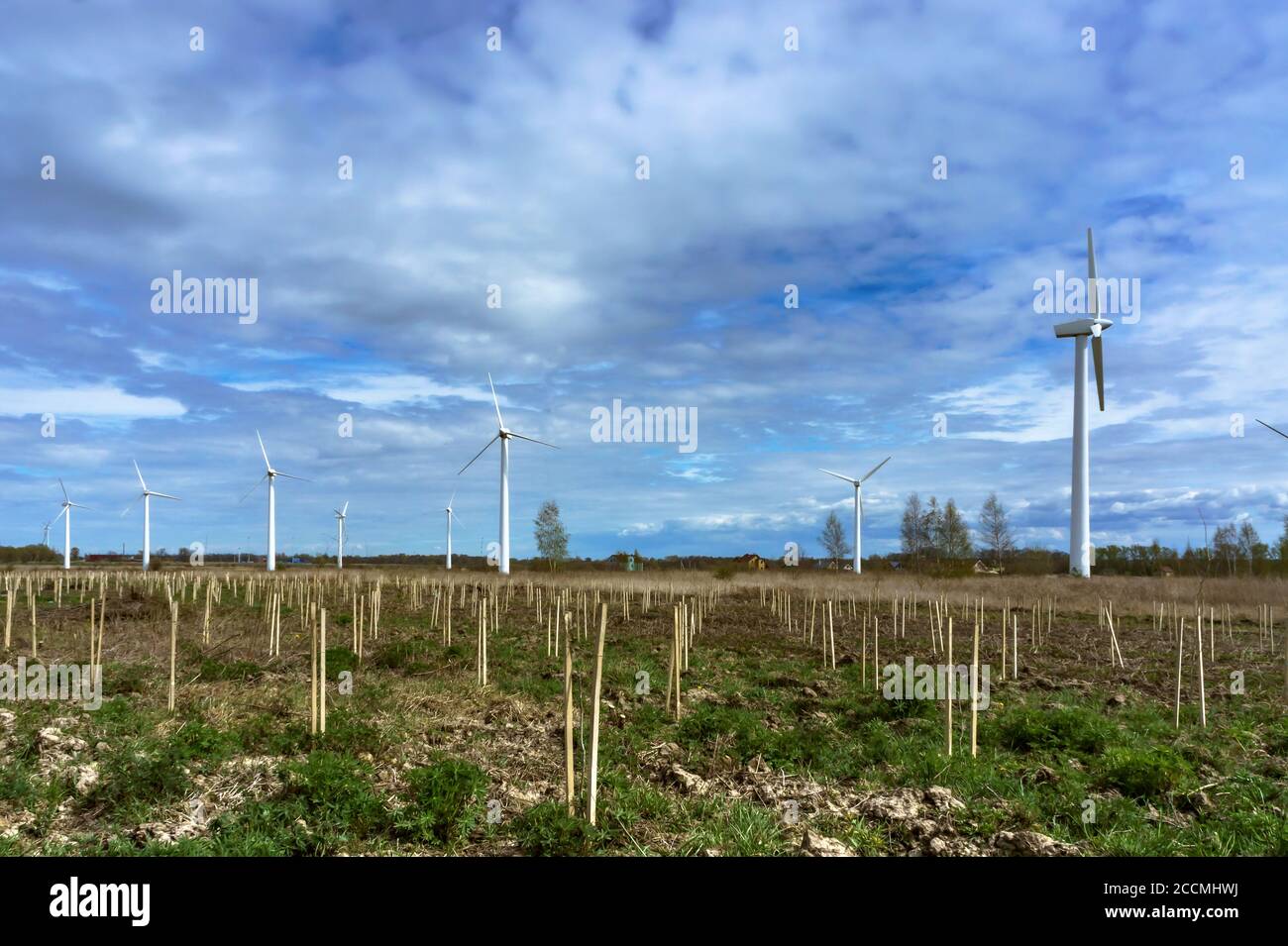young tree planting, wind turbine units in the field Stock Photo - Alamy