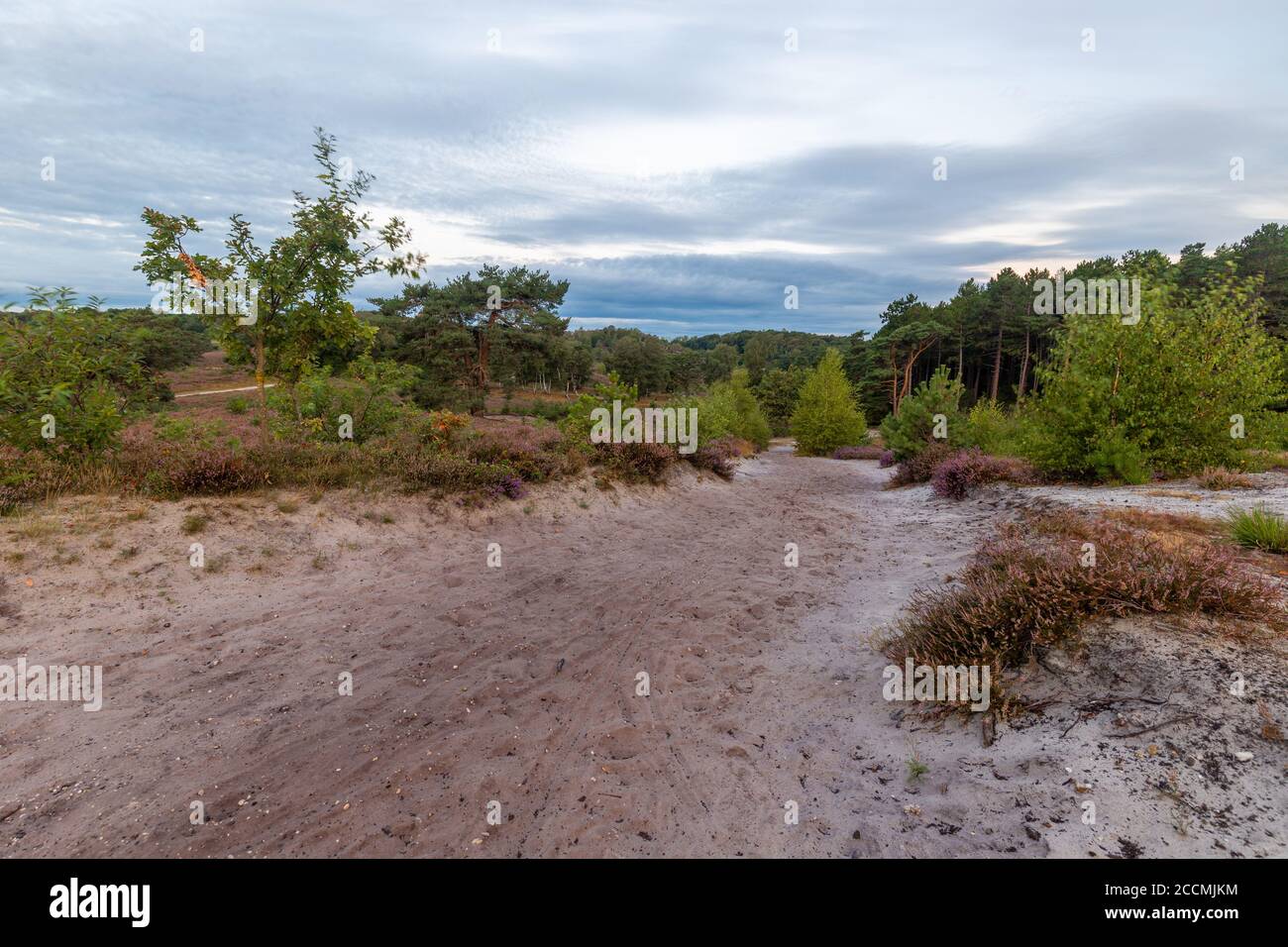 A sunset at the National park Brunssumerheide in het Netherlands, which ...