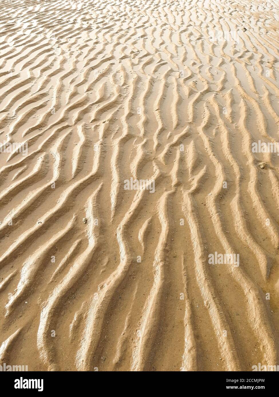 Vertical high angle shot of natural traces on the sand Stock Photo - Alamy