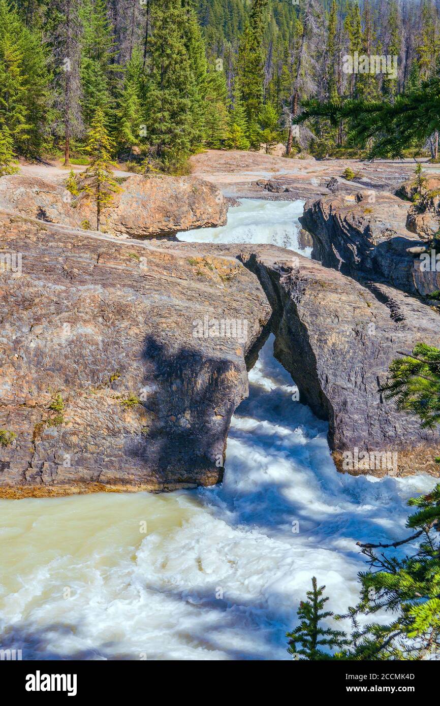 Natural Bridge in the Kicking Horse River Valley in Yoho National Park ...