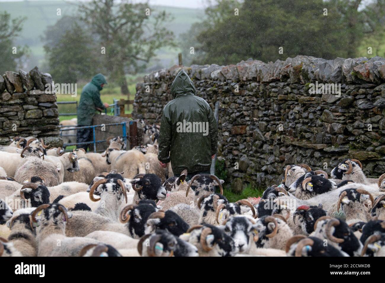 Hefted hi-res stock photography and images - Alamy