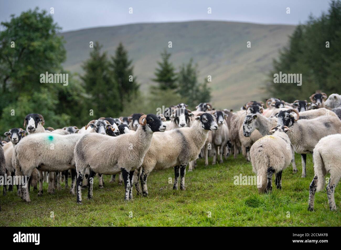 Hefted hi-res stock photography and images - Alamy