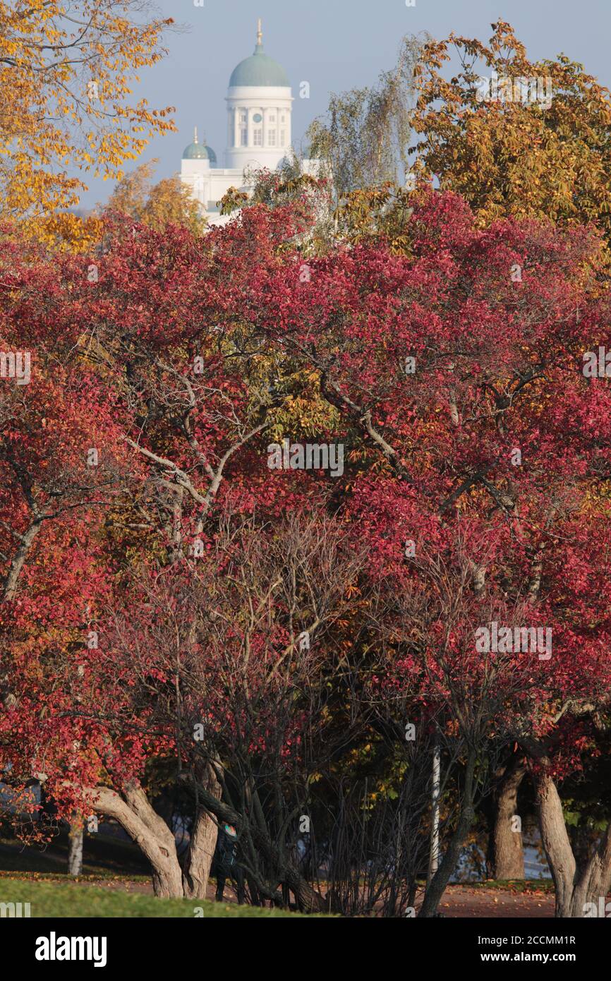 Helsinki trees hi-res stock photography and images - Alamy