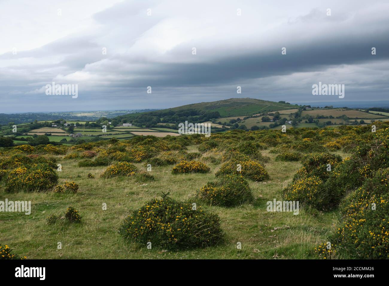 A selection of images taken in Devon a part of the South West of the UK ...