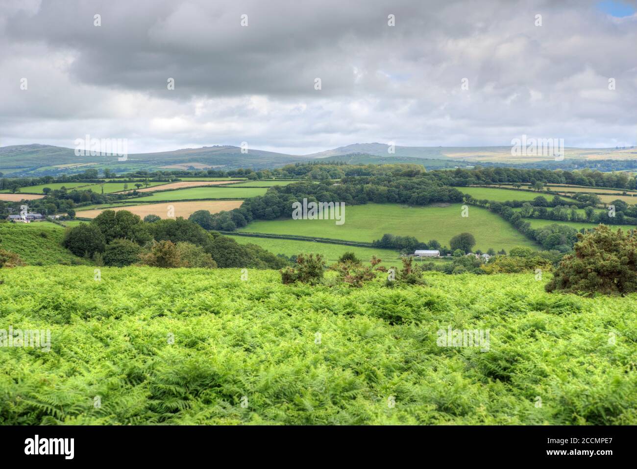 A selection of images taken in Devon a part of the South West of the UK ...