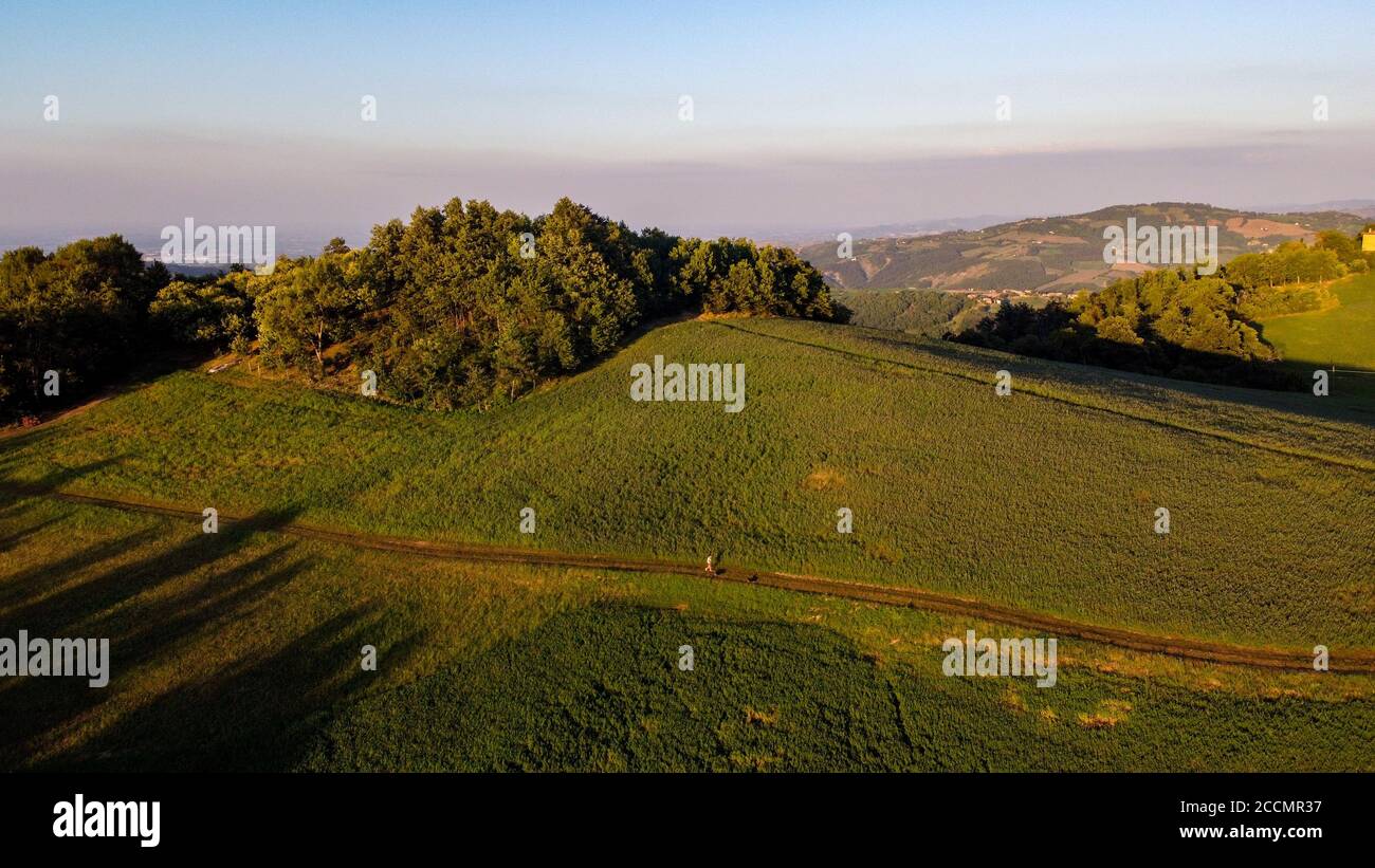 Aerial view of woods and trees in italian Appennini hills Stock Photo ...