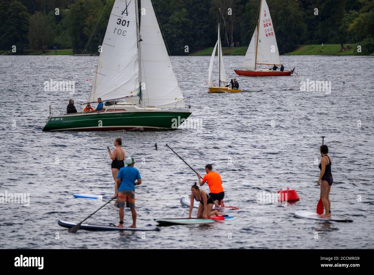 Baldeneysee, sailing boat, stand up paddler, sailing boats, Essen, NRW ...