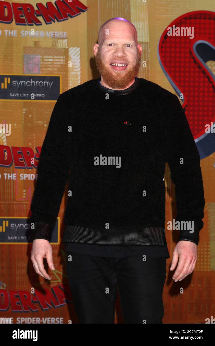 LOS ANGELES - DEC 1: Marvin Jones III, Krondon at the Spider-Man: Into ...