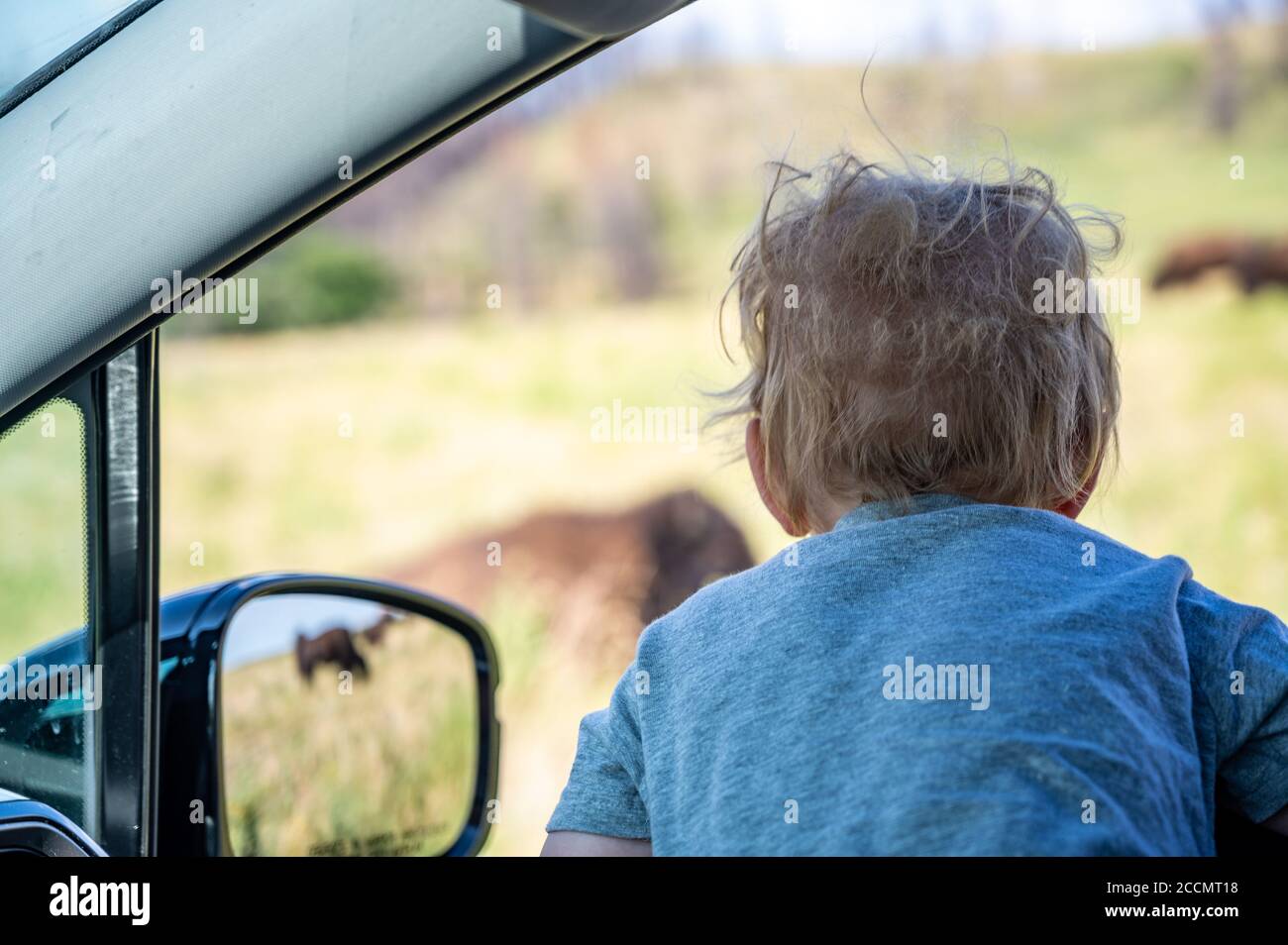 Children leaning out car window hi-res stock photography and images - Alamy