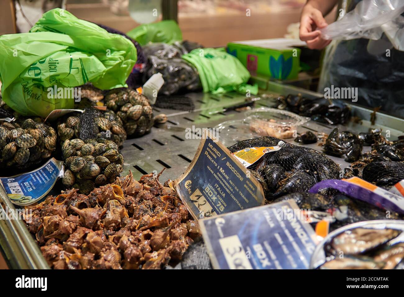 Snails sea food hi-res stock photography and images - Alamy