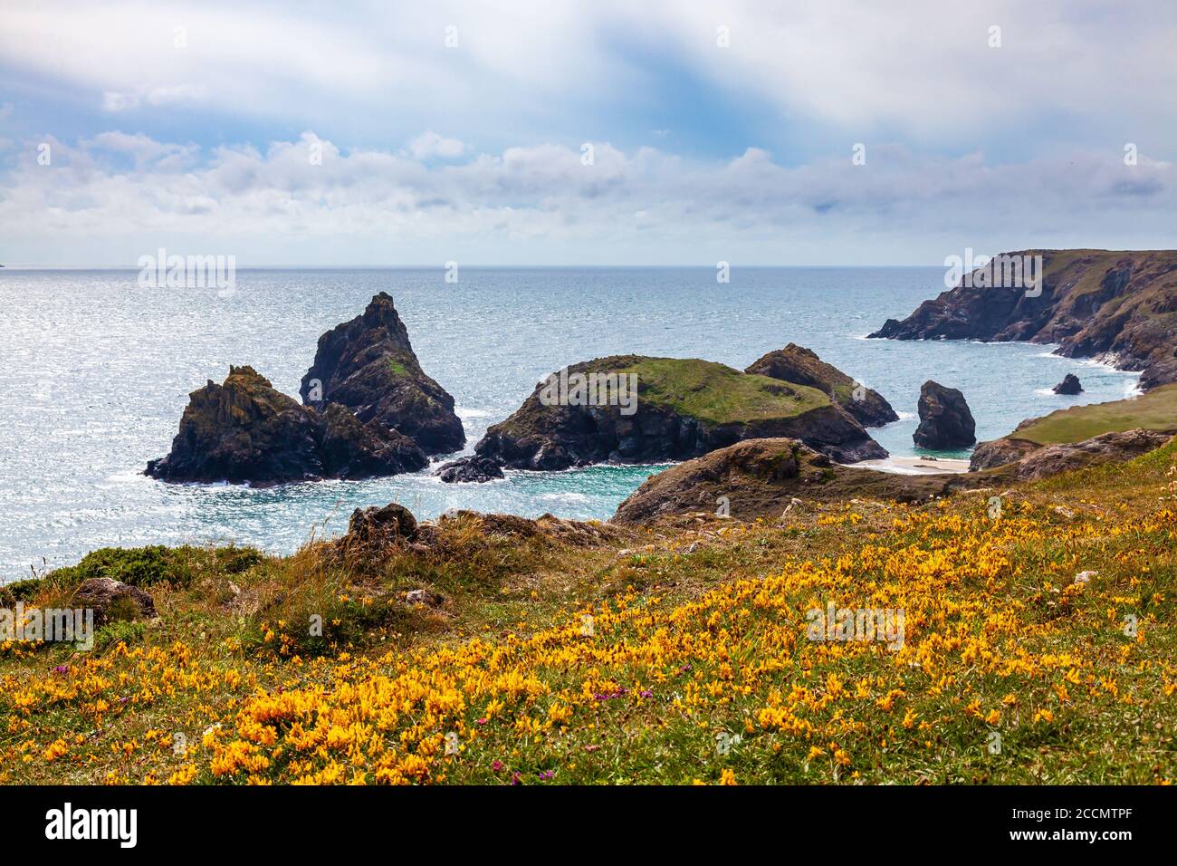 Overlooking Kynance Cove on the Lizard Peninsula Cornwall England UK ...