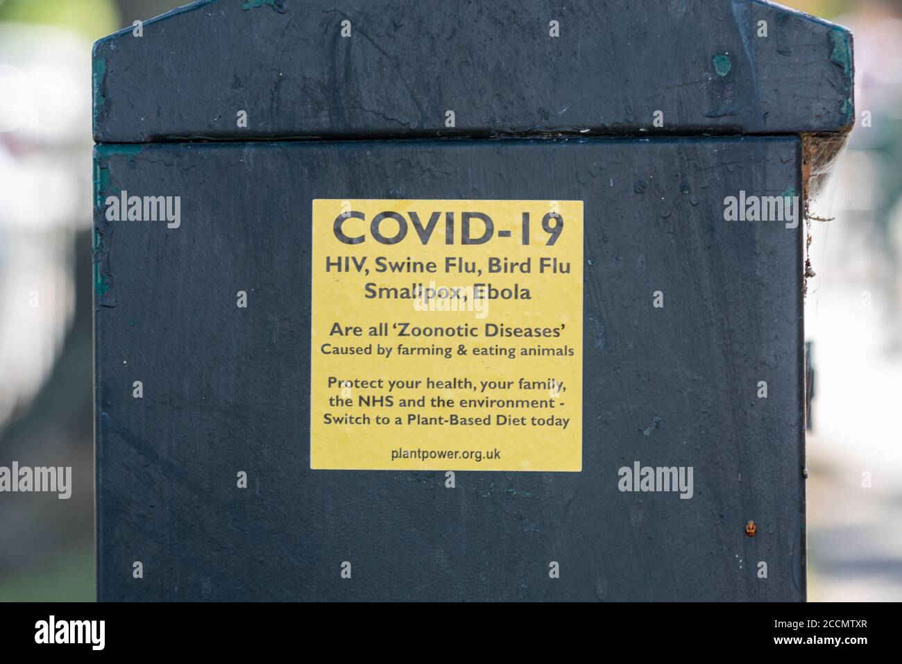 Animal sticker hi-res stock photography and images - Alamy