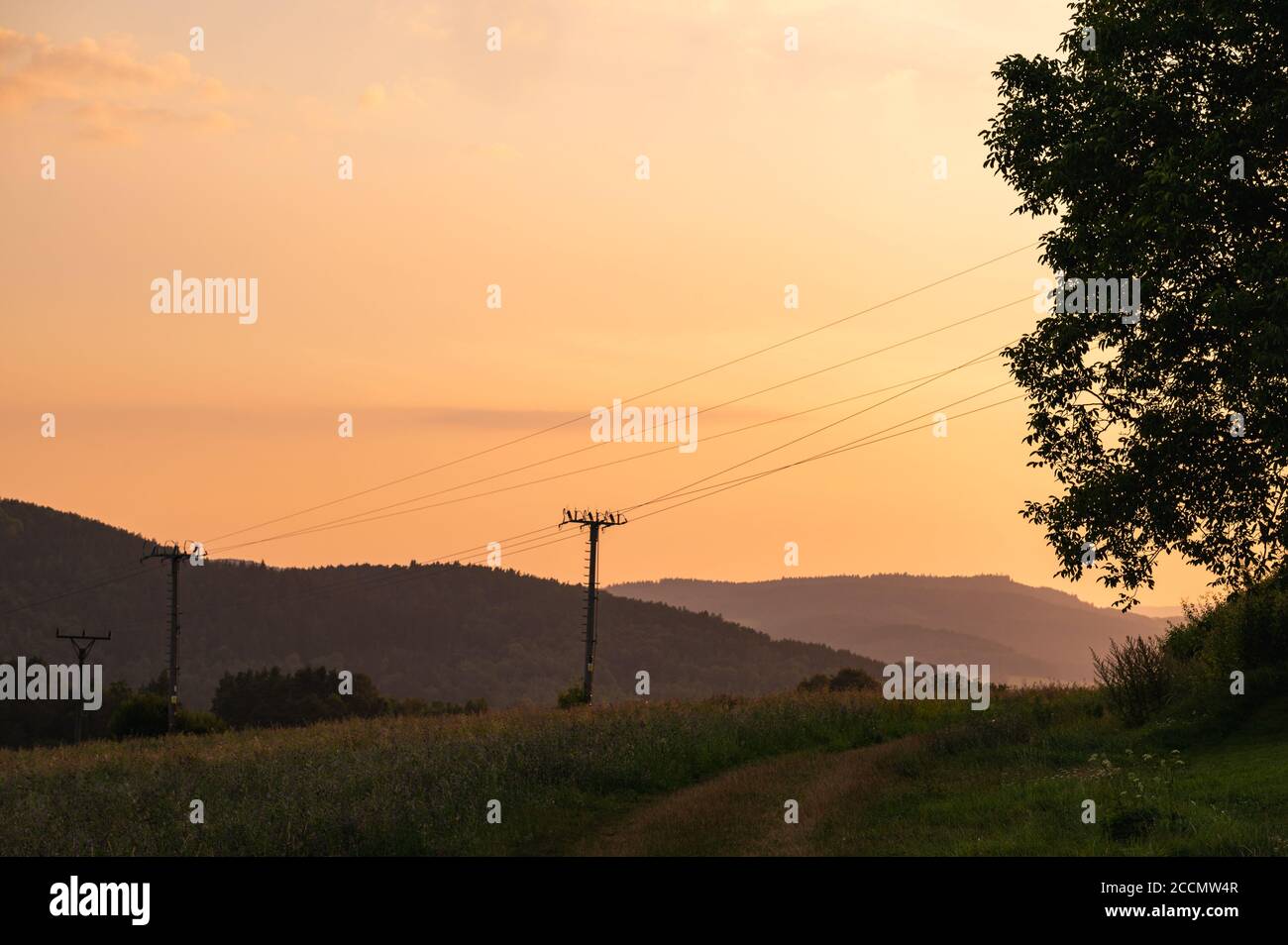 Power lines through forest hi-res stock photography and images - Alamy