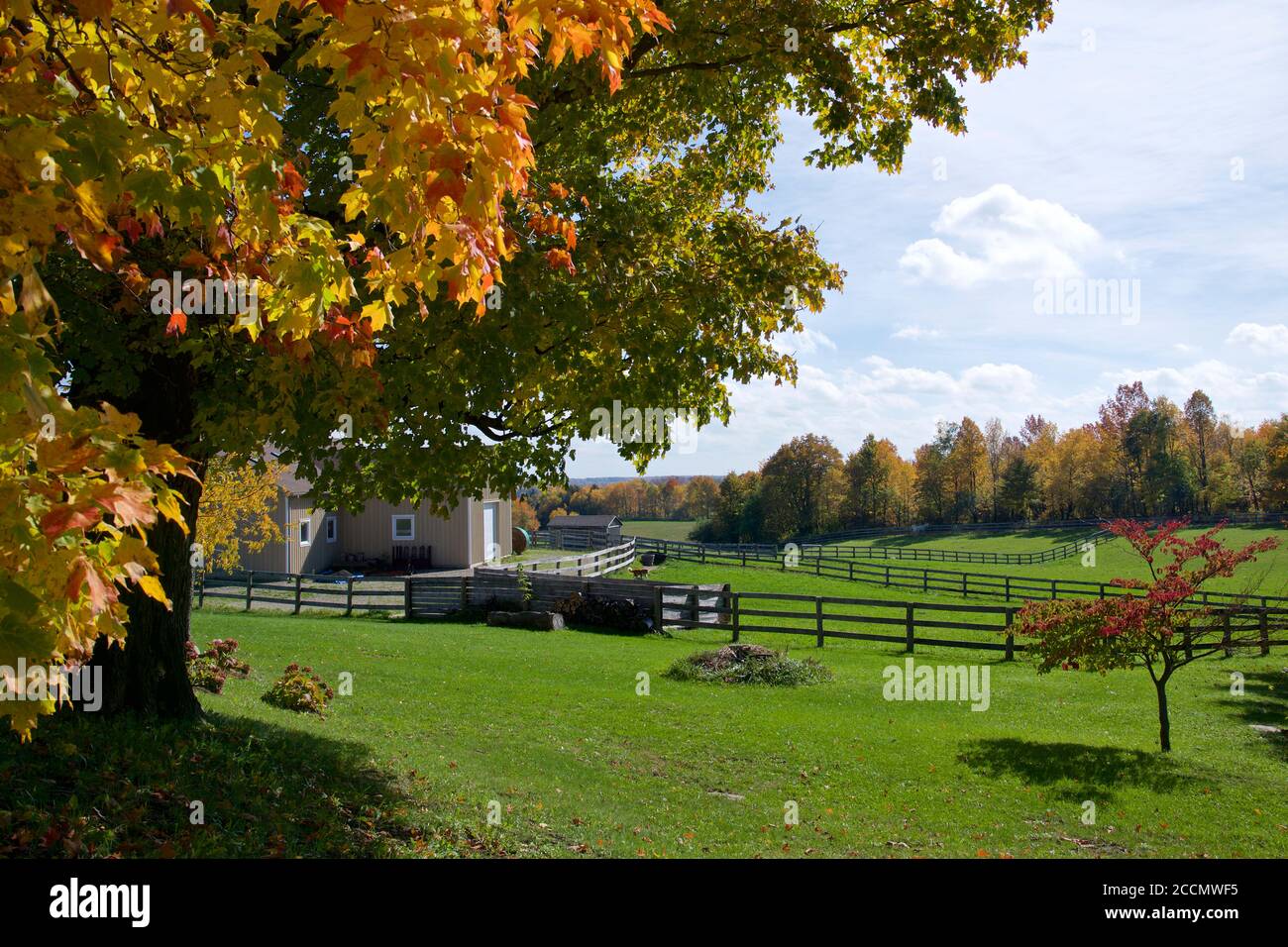 2018 autumn hi-res stock photography and images - Alamy