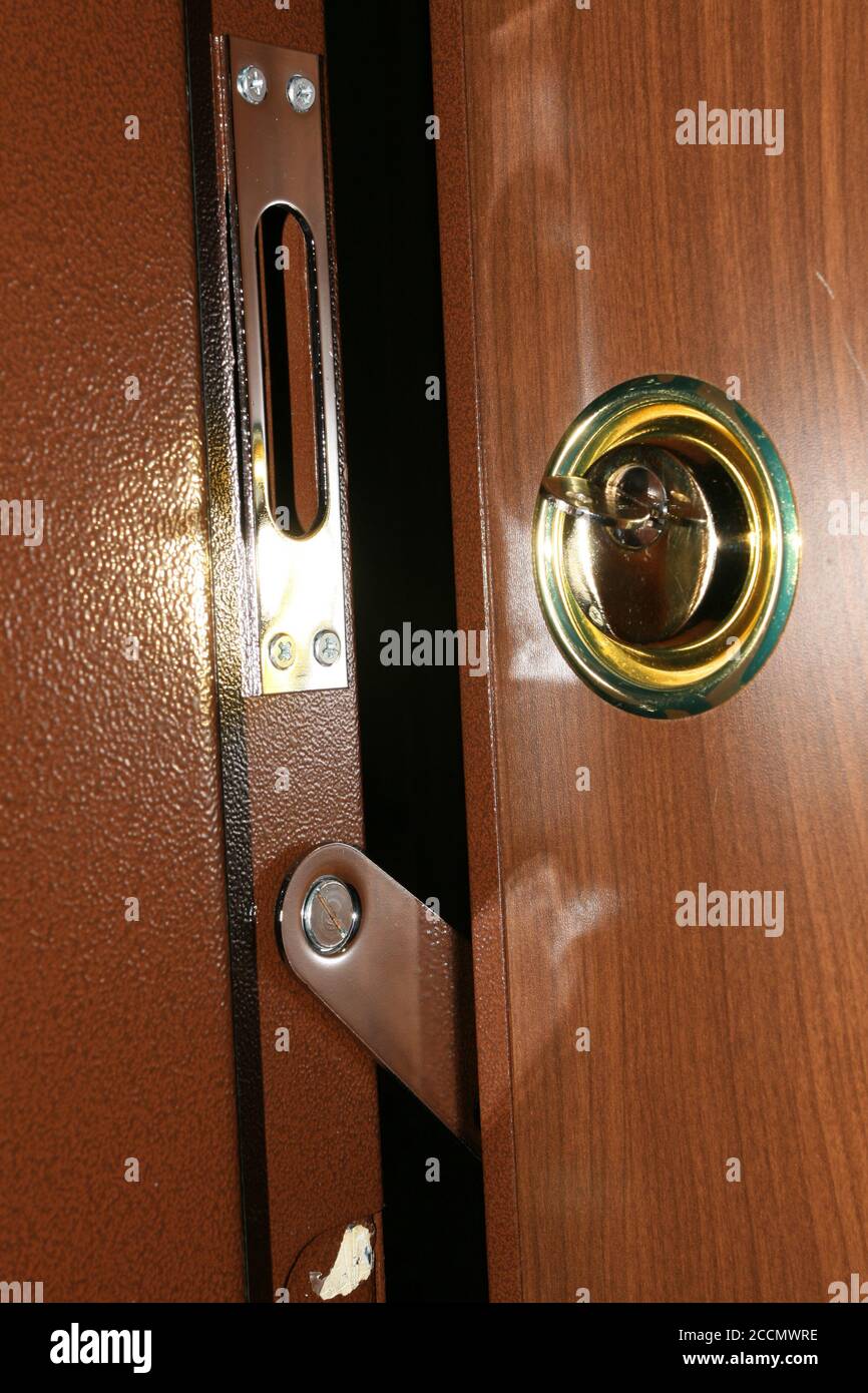 Hinge, shatterproof lock and steel door accessories. Decorative Steel ...
